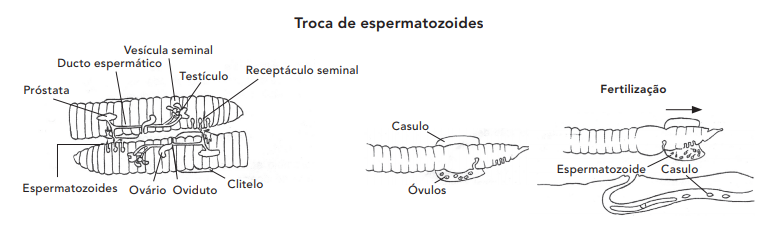 Academia da Matemática